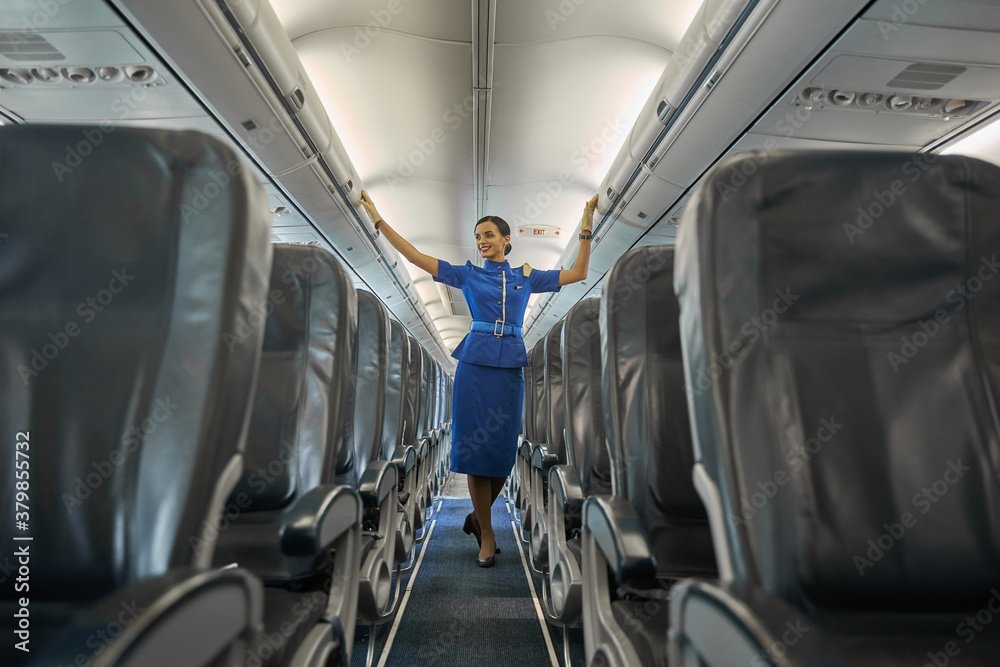 Contented professional flight hostess smiling in aircraft cabin Stock ...