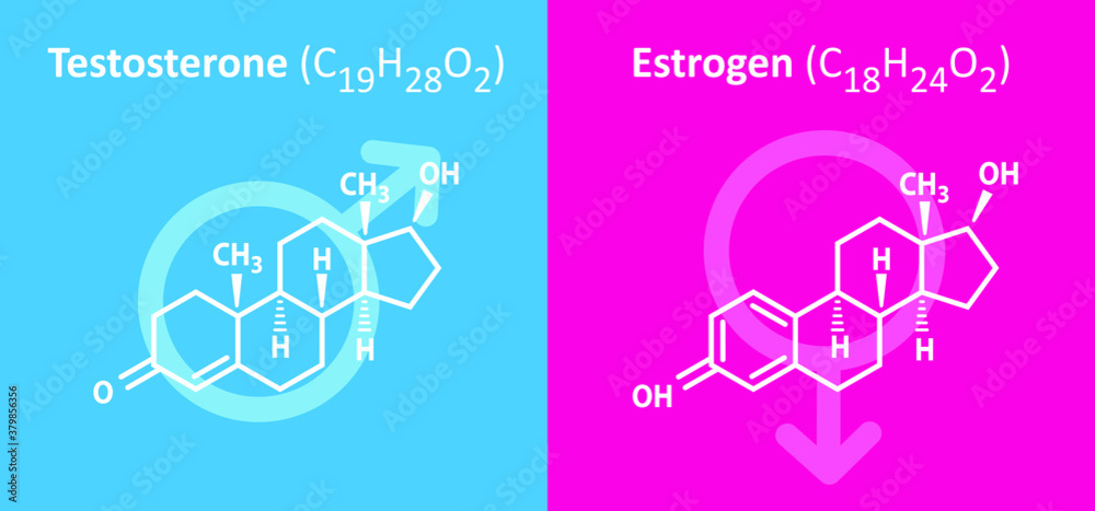 Testosterone Estrogen Structure C19h28o2 C18h24o2 Sex Hormone Formula