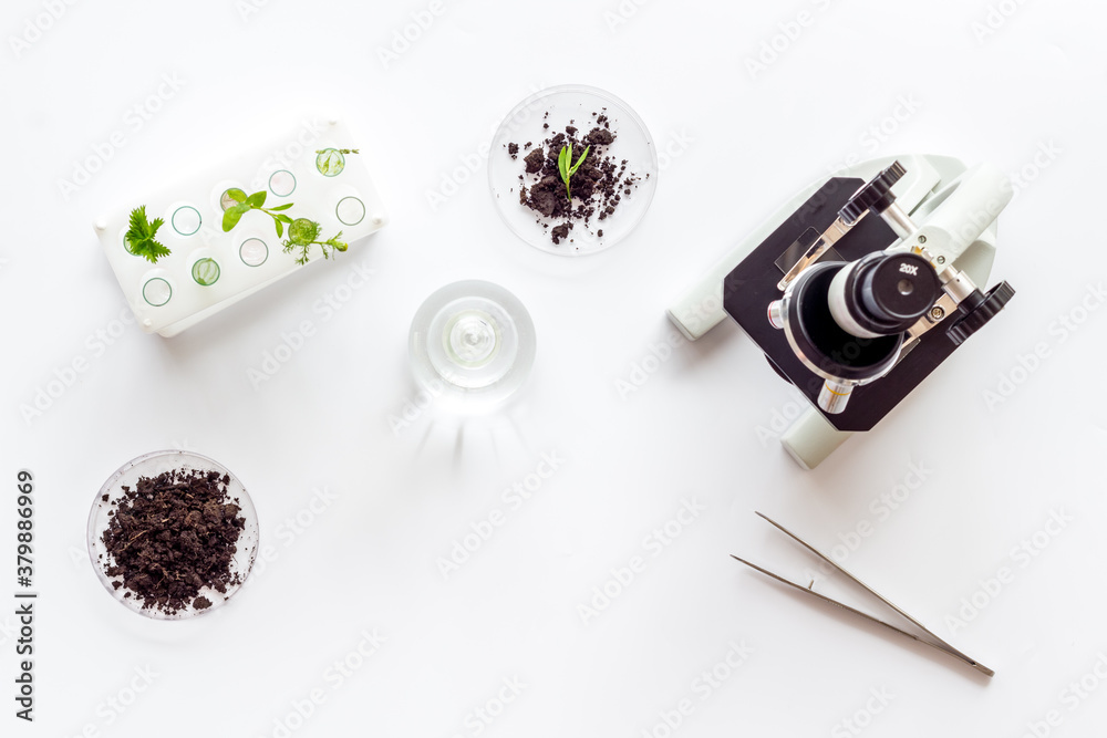 Plants with microscope in scientific laboratory. Top view Stock Photo ...