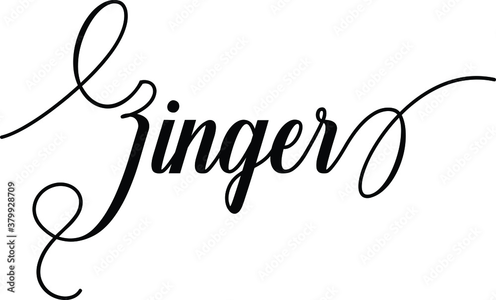 Zinger Script Cursive Calligraphy Typography Black text lettering ...