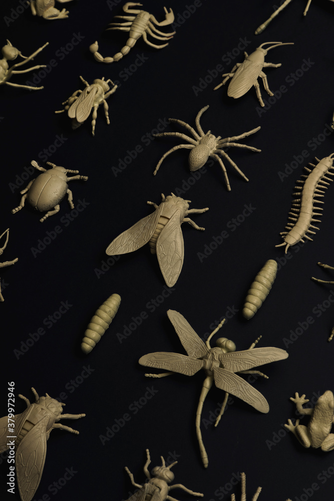 Insectorium/collection of bugs/insects. Stock Photo | Adobe Stock