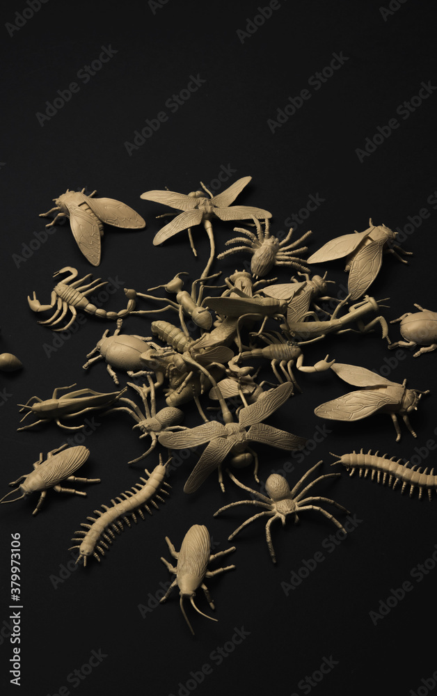 Foto de Insectorium/collection of bugs/insects. do Stock | Adobe Stock