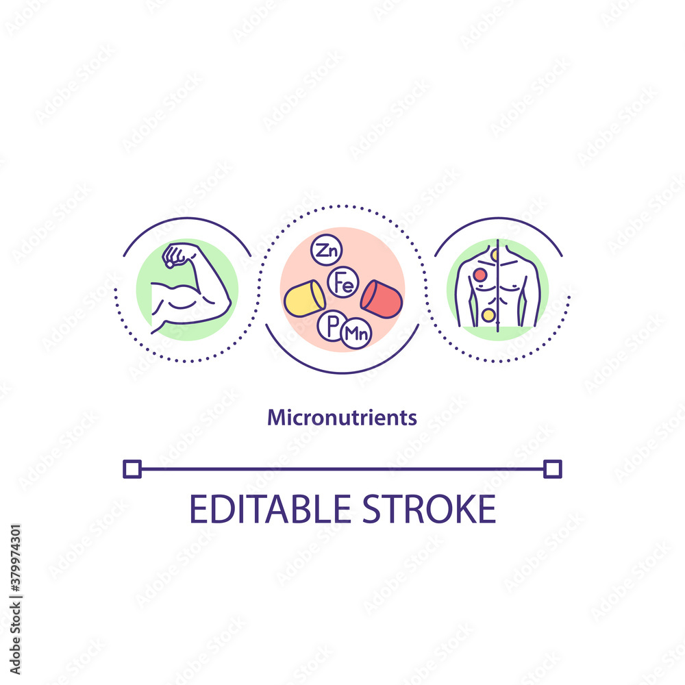 Functions of micronutrients concept icon. Supplements and vitamins for ...