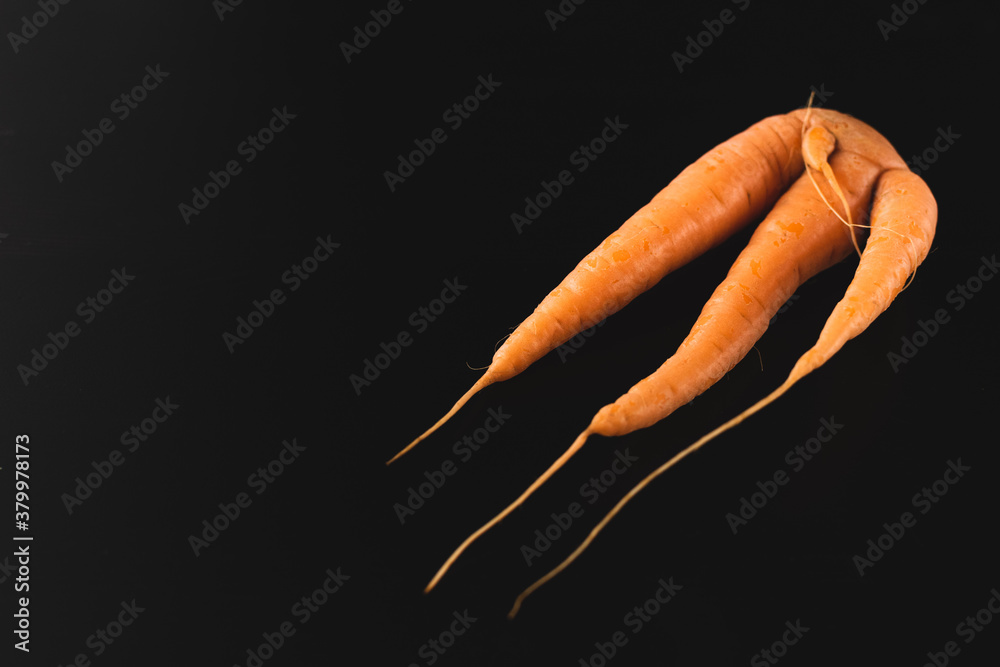 Ugly carrot on a black background. Funny, unnormal vegetable or food ...