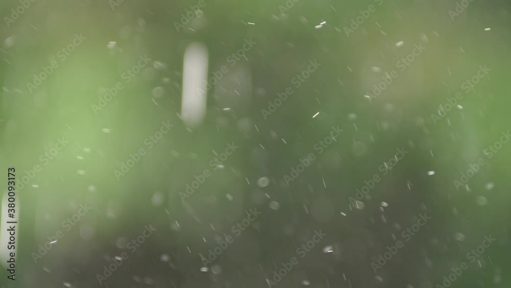 Blur panning close up scene of pouring rain on green natural background ...