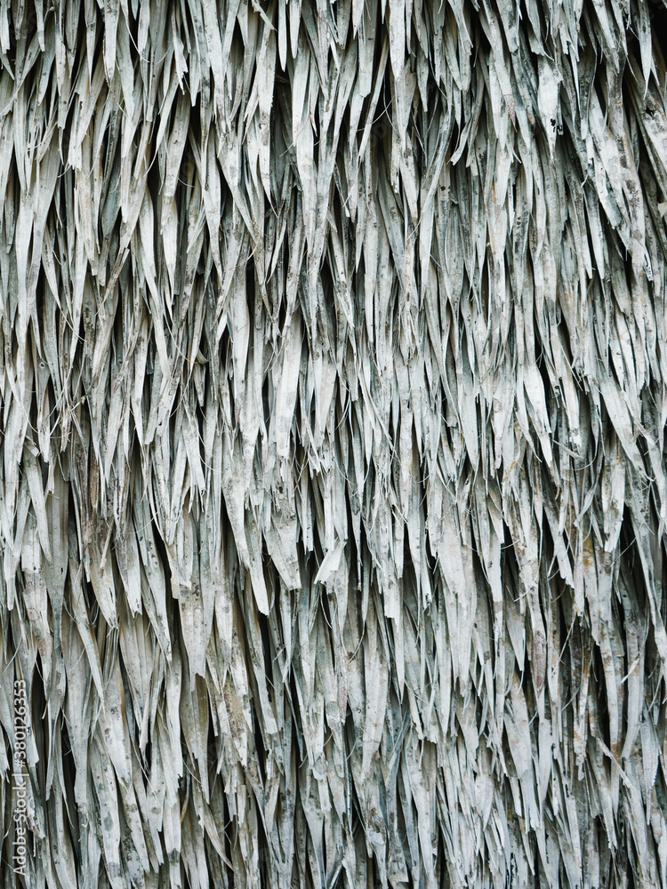 Texture of straw wall. Old palm leaf pattern. Stock Photo | Adobe Stock