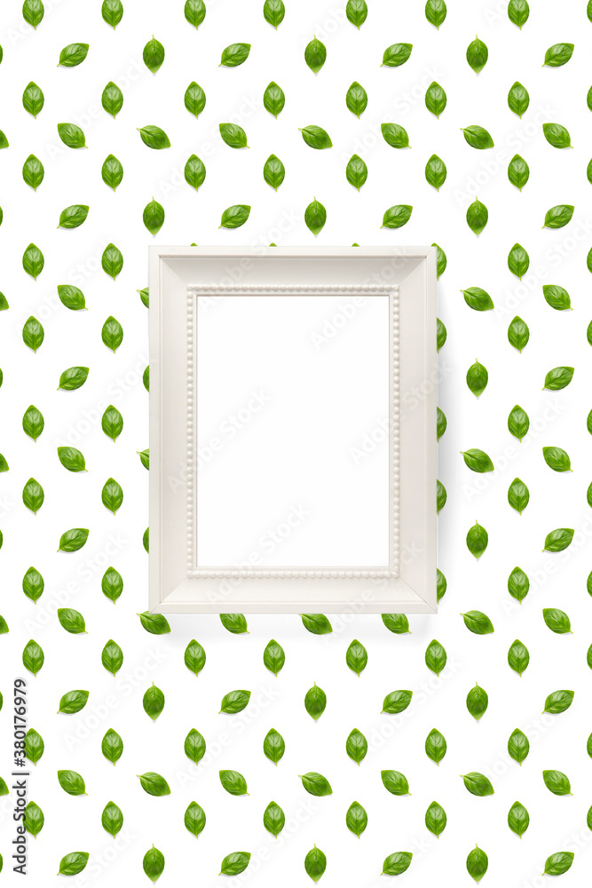 Basil. Green leaves of fresh italian basil background on whte backdrop ...
