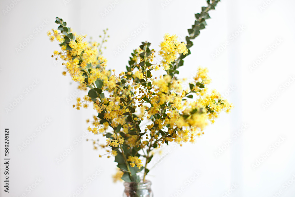 Native Australian wattle flowers picked from garden and on a desk Stock ...