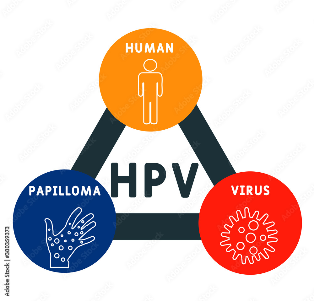 HPV - Human Papilloma Virus acronym, medical concept background. vector ...