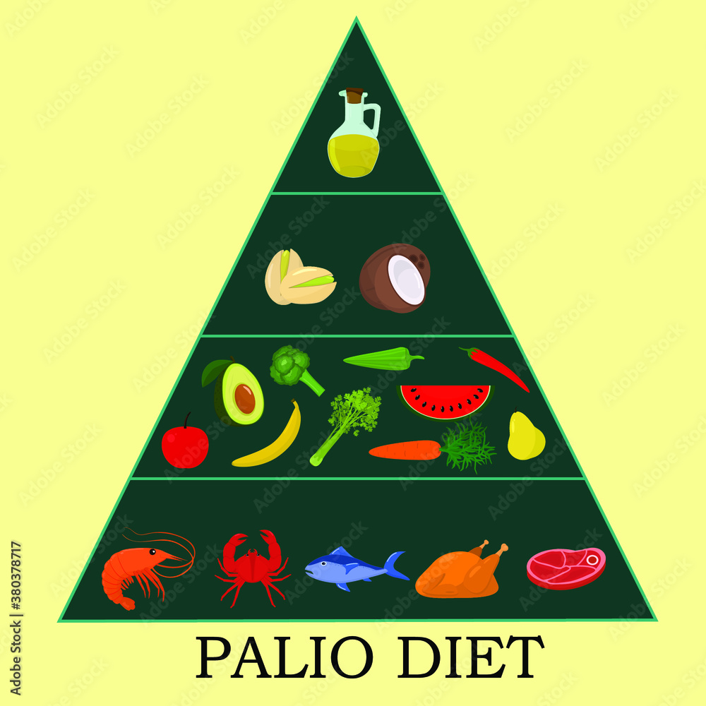 Paleo food pyramid chart. Nutrition and diet infographics Stock Vector ...