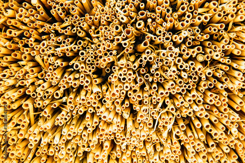 Design, banner, background, straw design, bamboo background, reed ...