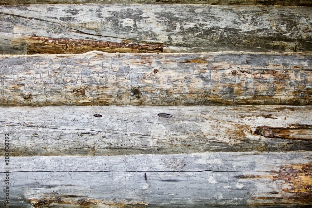 Pine log walls texture close up. Wooden Log cabin walls made from an ...