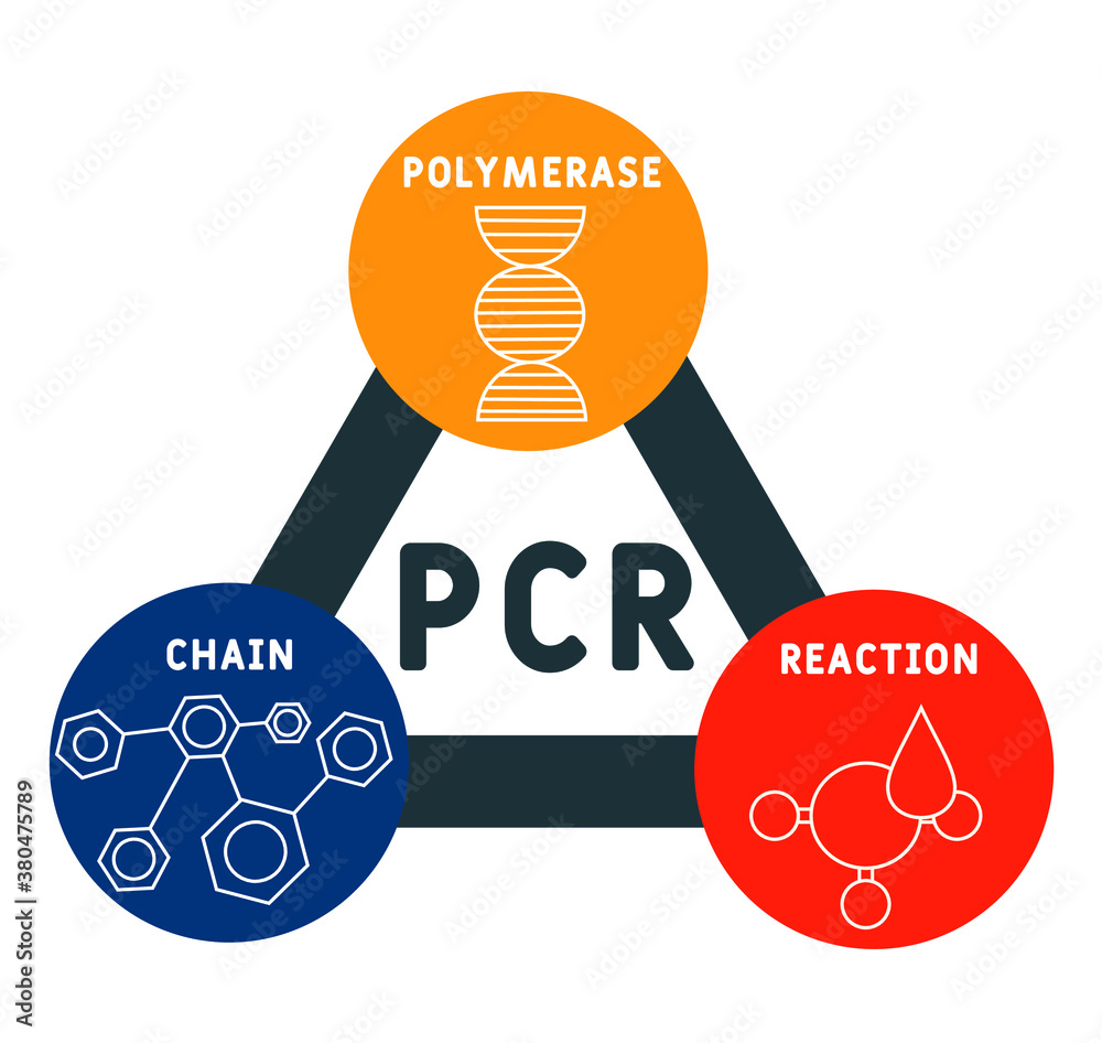 PCR - Polymerase Chain Reaction acronym, medical concept background ...