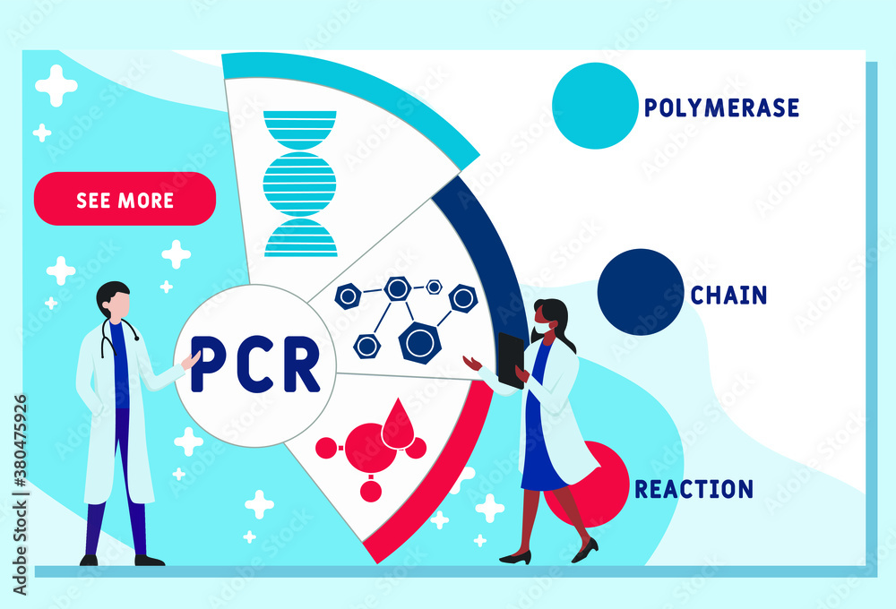 Vector website design template . PCR - Polymerase Chain Reaction ...