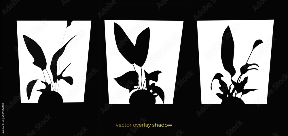 Silhouette of the flower pot shadow on the window. Vector background ...