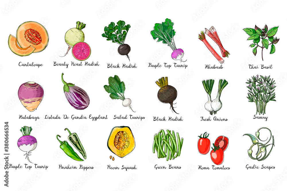 Black Vegetables Names