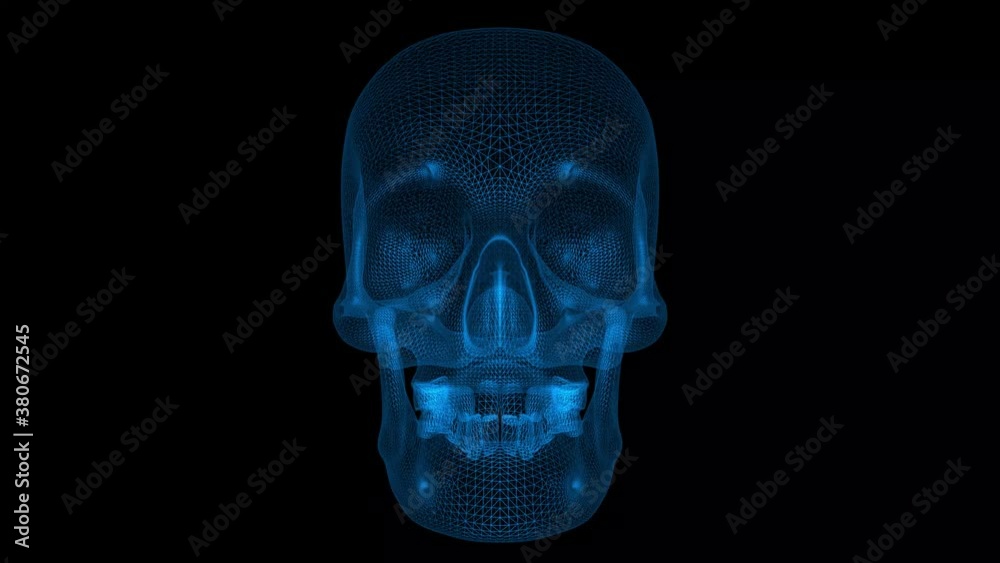 Skull 3d wireframe with thin blue lines. Anatomical futuristic hologram ...