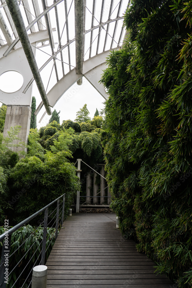 Big empty vivarium with green blooming plants and modern architecture ...