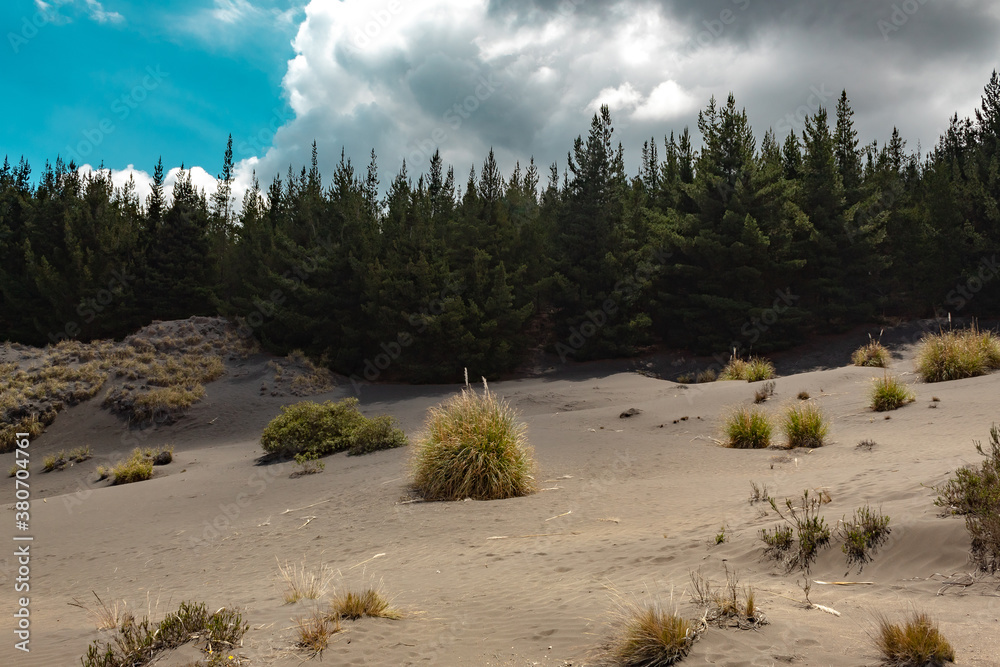 Foto de Hermosos arenales del Ecuador.vistas muy hermosas. Paisajes ...