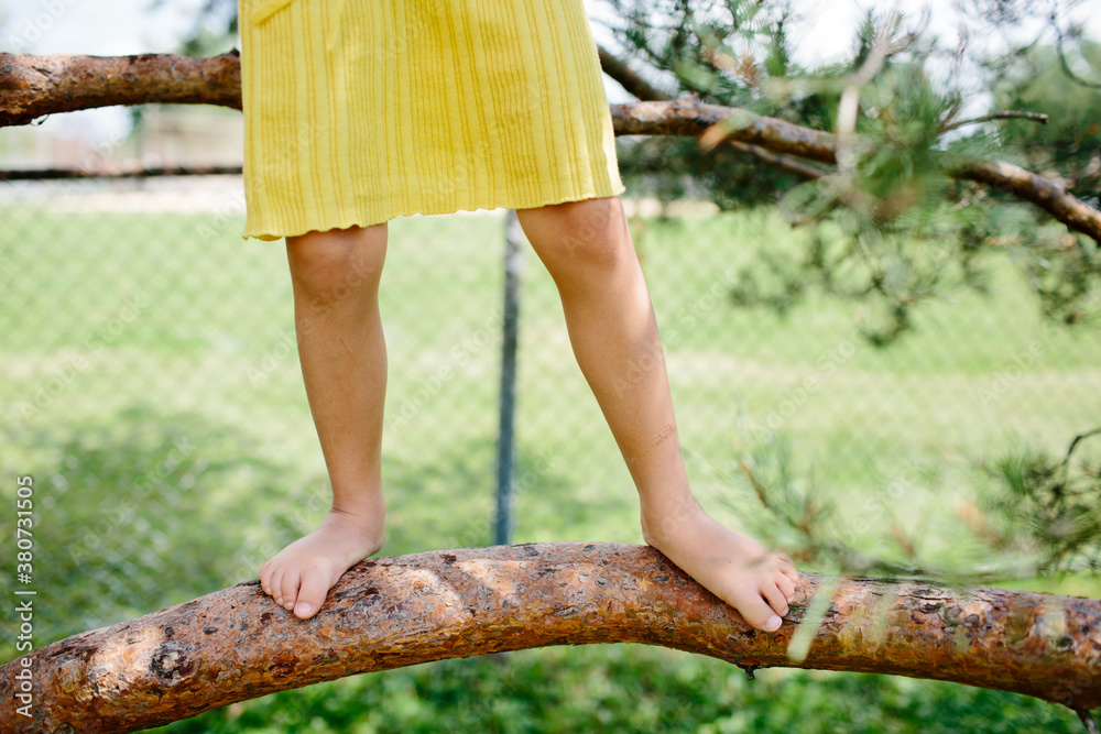 Kid's feet on tree Stock Photo | Adobe Stock