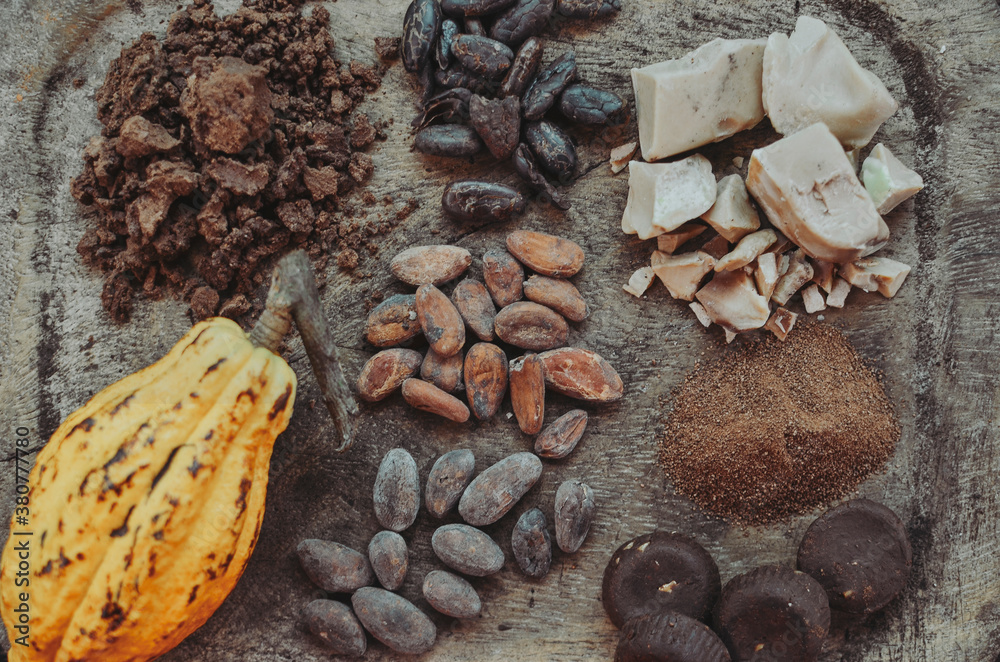 Chocolate making process; overhead view of the assorted cocoa beans and ...