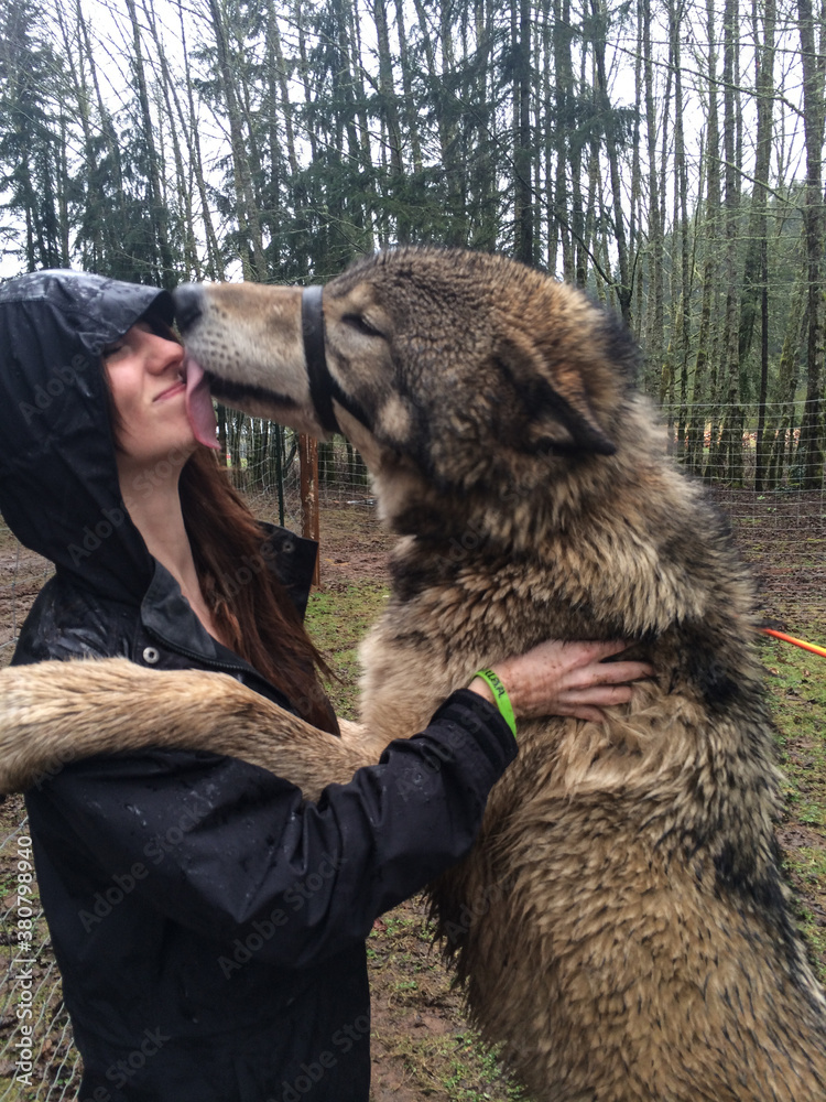 Happy Wolf