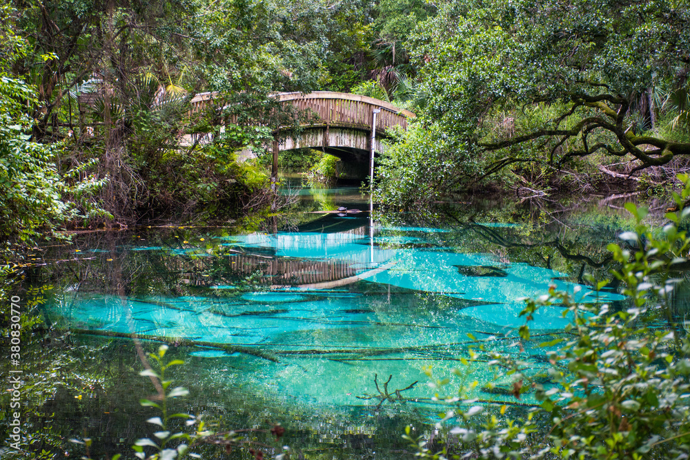 Natural clear fresh turquoise water oasis at Juniper springs with ...