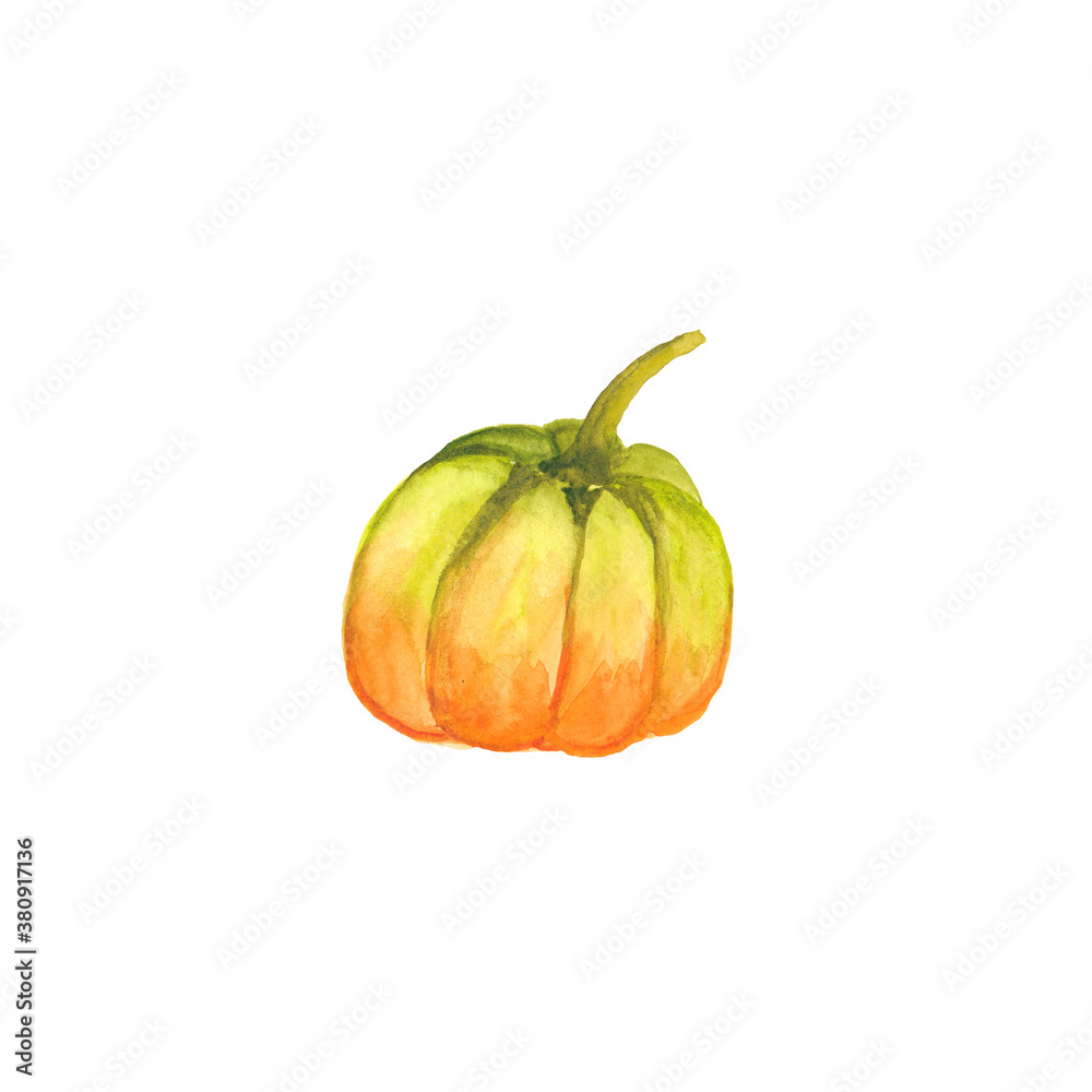 Hand Painted Thanksgiving Clipart. Watercolor pumpkin clipart set ...