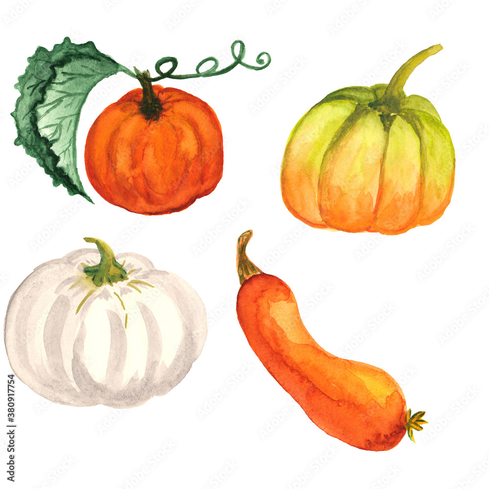 Hand Painted Thanksgiving Clipart. Watercolor pumpkin clipart set ...