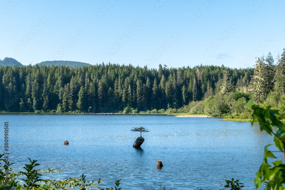 Port Renfrew, Vancouver Island, British Columbia, Canada. View of an ...