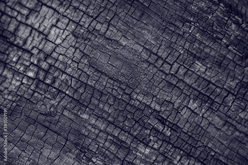 burn wood texture structure backdrop background Stock Photo | Adobe Stock