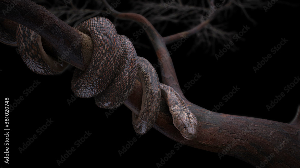 King cobra snake coil on big tree back view 4K resolution with 3d ...