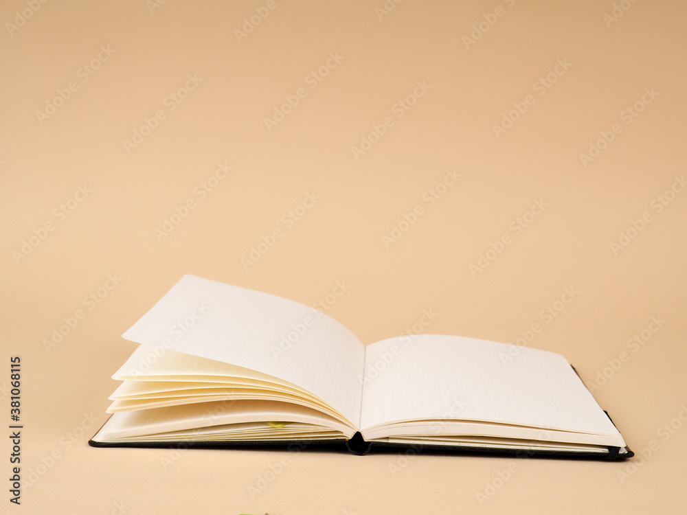 Open book on blue background, open pages as a concept of new knowledge ...