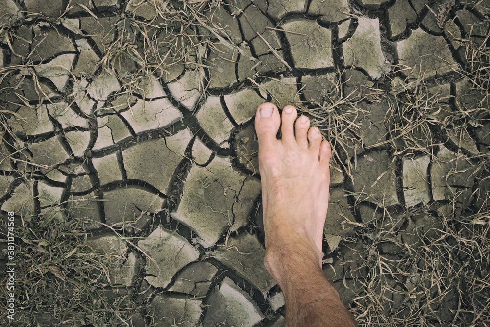 Human foot on dried cracked lifeless earth. Man's barefoot on dry soil ...