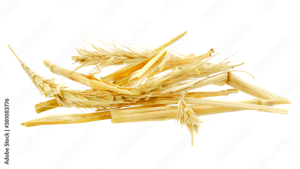 Heap of golden, yellow straw isolated on white background. Straw after ...