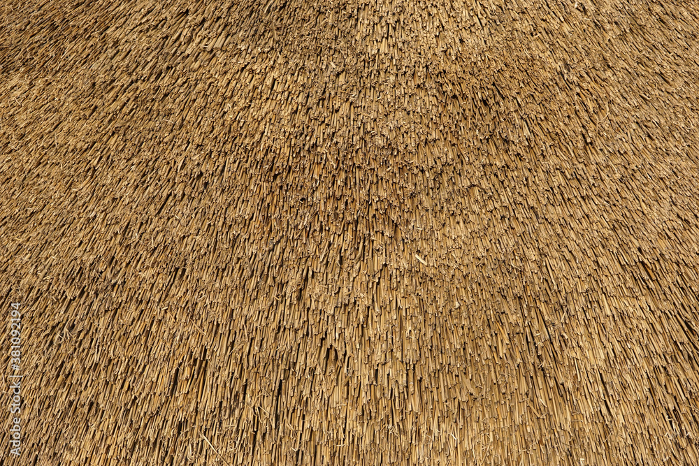 Reed roof, roof texture close-up. Stock Photo | Adobe Stock