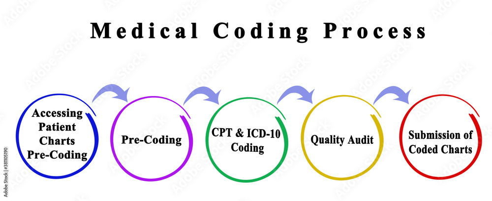 Components of Medical Coding Process Stock Illustration | Adobe Stock Components of Medical Coding Process Stock Illustration | Adobe Stock