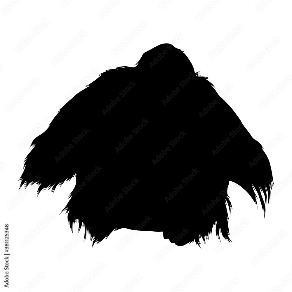 Orangutan (Pongo pygmaeus) Sitting On a Front View Silhouette Found In ...