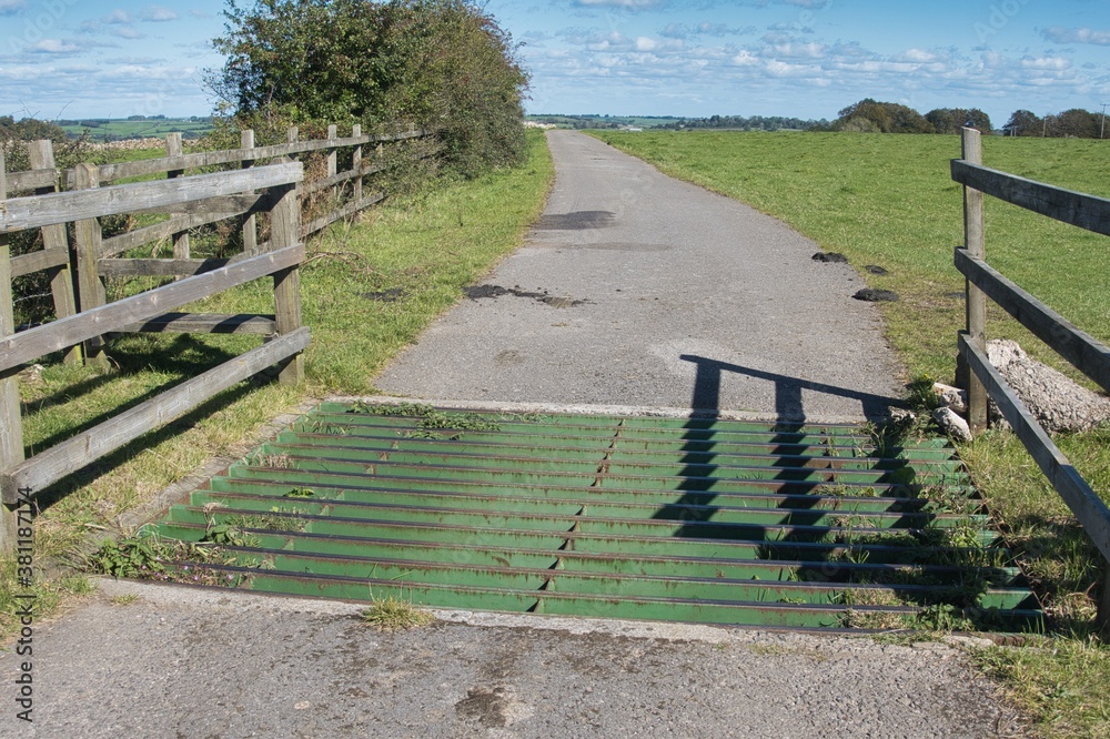Cattle grid to control cattle at the end of a single track road in the ...