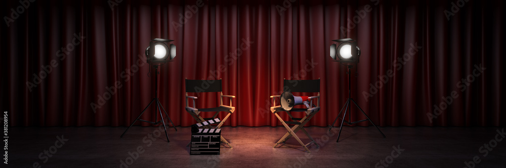 Theatre Director Chair