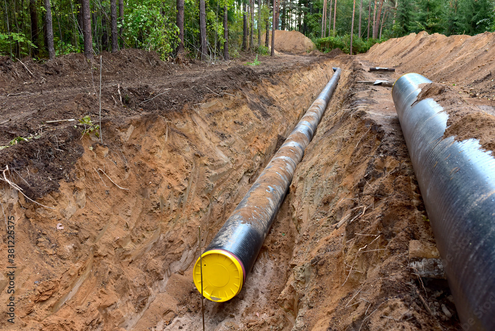 Natural gas pipeline construction work in forest area. Installation of ...