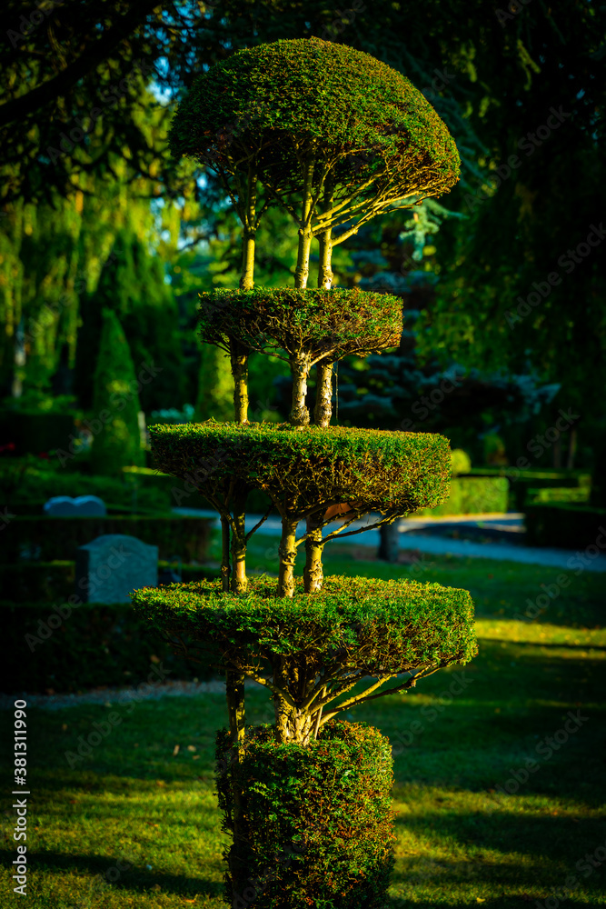 Bush cut into an artistic shape in a public garden using topiary ...