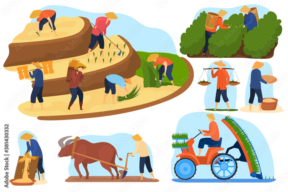 Asian farm rice fields vector illustration set. Cartoon flat farmer ...