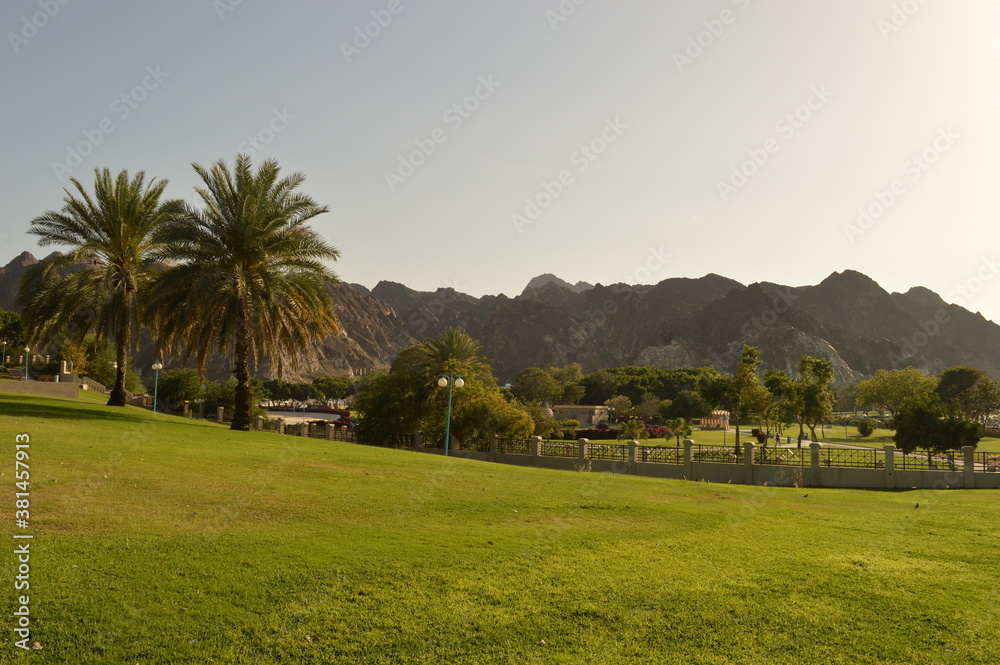 The stunning gorges and desert landscape of the Arabian Peninsula in ...