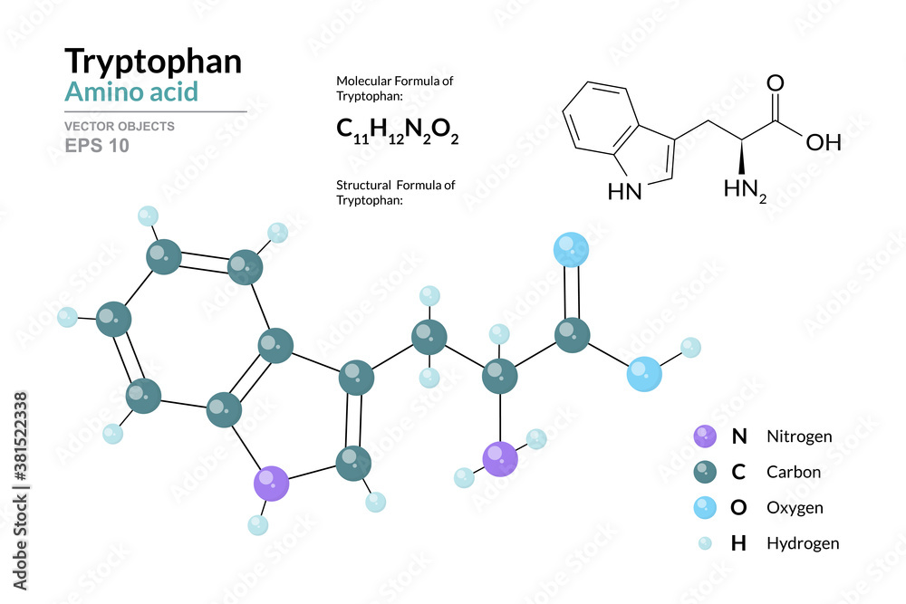 Vetor De Tryptophan Trp C11h12n2o2 α Amino Acid Structural Chemical Formula And Molecule 3d