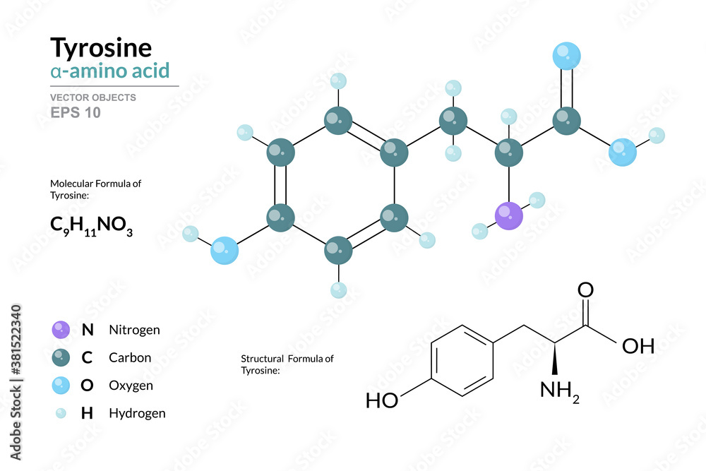 Tyrosine Structural Formula