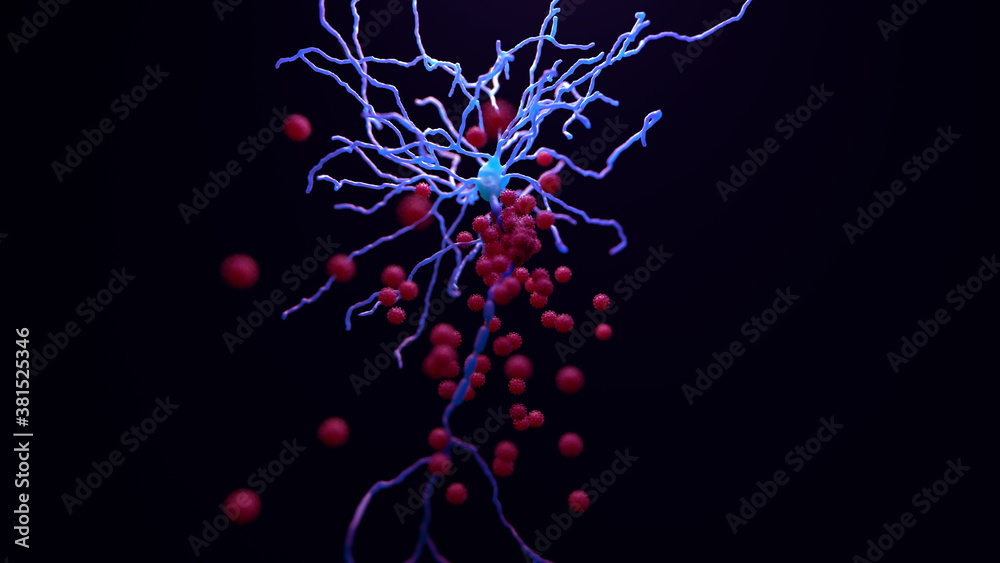 How COVID-19 can damage the brain, the deterioration of myelin a fatty ...