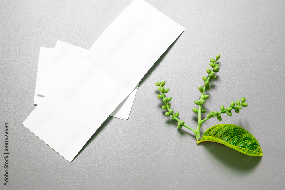 Flat lay blank portrait mock-up paper and Tropical jungle Monstera ...