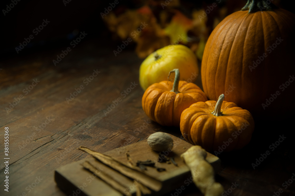 Calabazas halloween octubre otoño samhain ofrenda ciclos colores ...