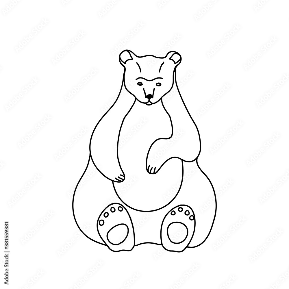 Bear vector illustration. Line drawing of forest animal, front view ...